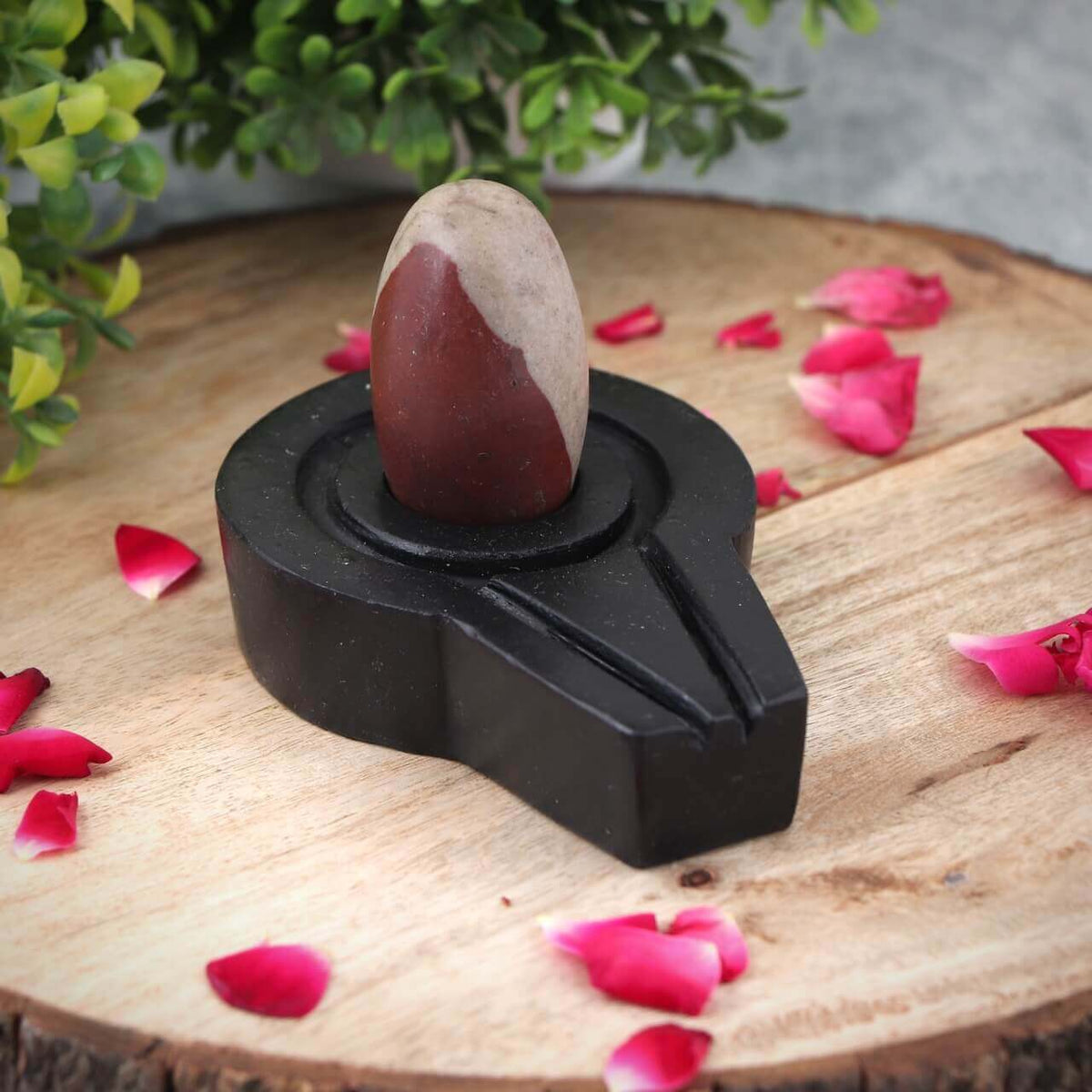 Original Narmadeshwar Shivling For Home & Narmada Shivling – Prabhubhakti