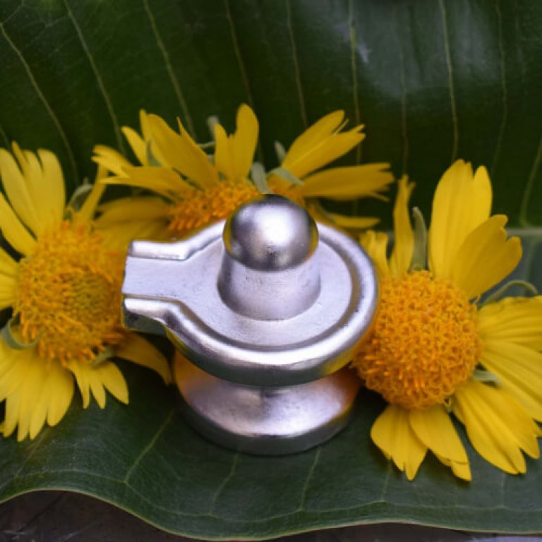 Buy Original Parad Shivling Online | Certified Parad Shivling ...